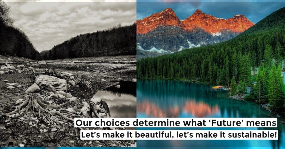 Sustainable Living and Eco-friendly Gifts – Your most common questions ...